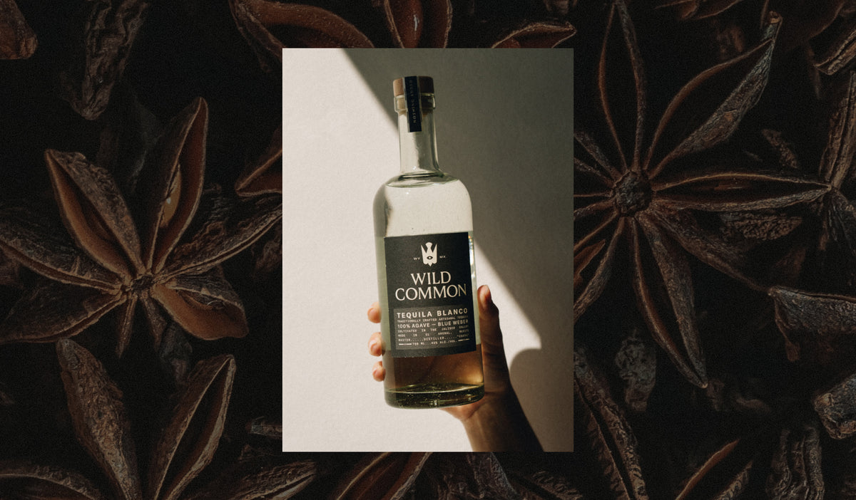 'Tis the Season for Spirits: Your Last-Minute Holiday Gift Guide – Wild ...