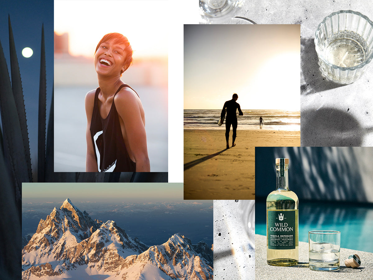 Content Collaborators and Ambassadors – Wild Common